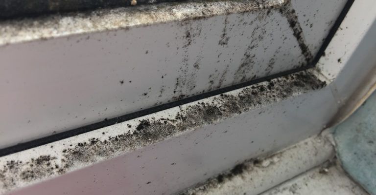 10 Ways to Prevent Mould in Your Home - Damp Specialists, Damp ...