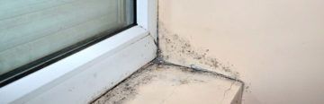 How to Treat Damp - Damp Specialists, Damp Solutions | Frank Schrijver ...